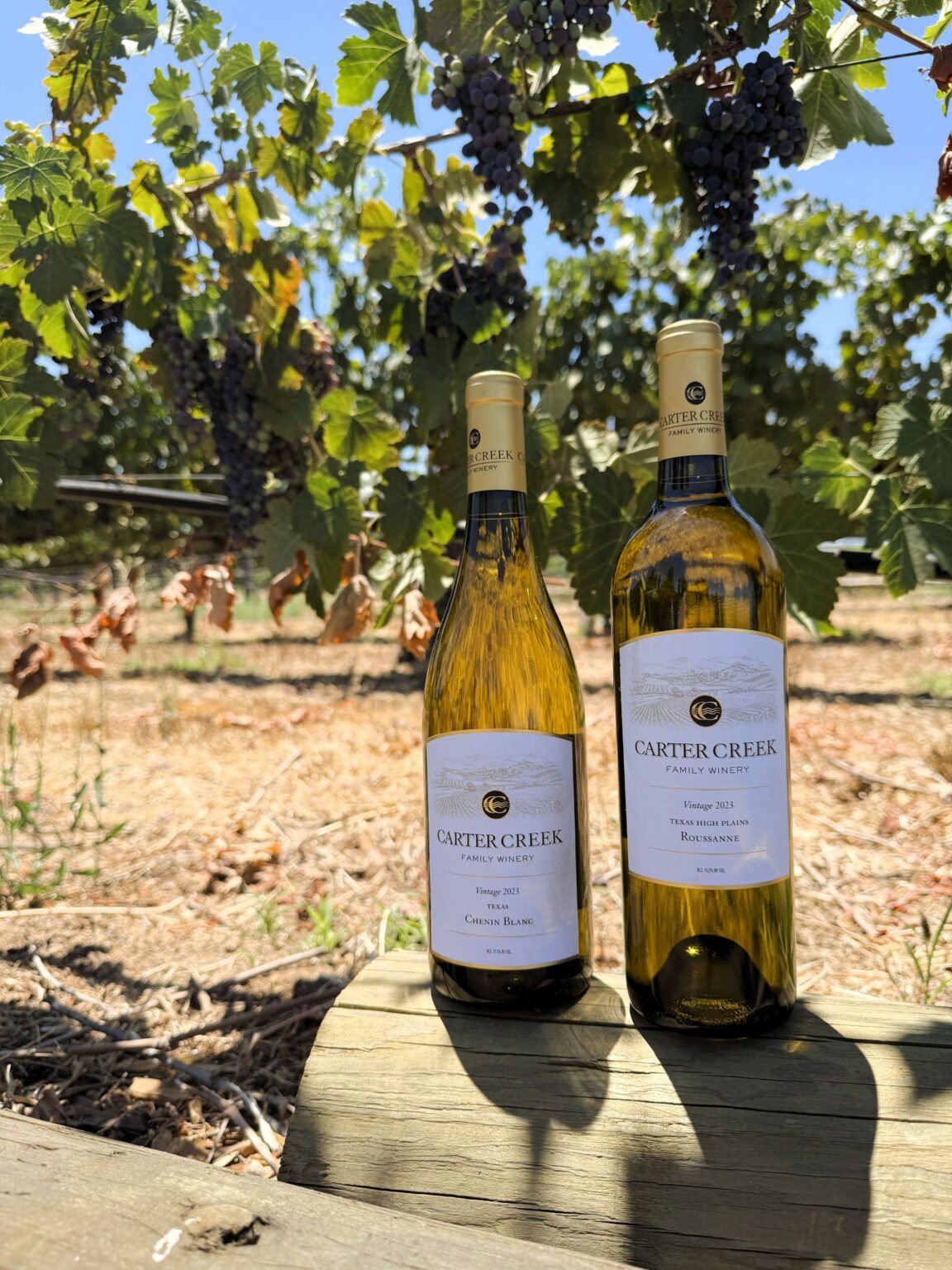 CARTER CREEK, SOUTH COAST WINERIES WIN FOUR MEDALS AT 2025 SUNSET ...