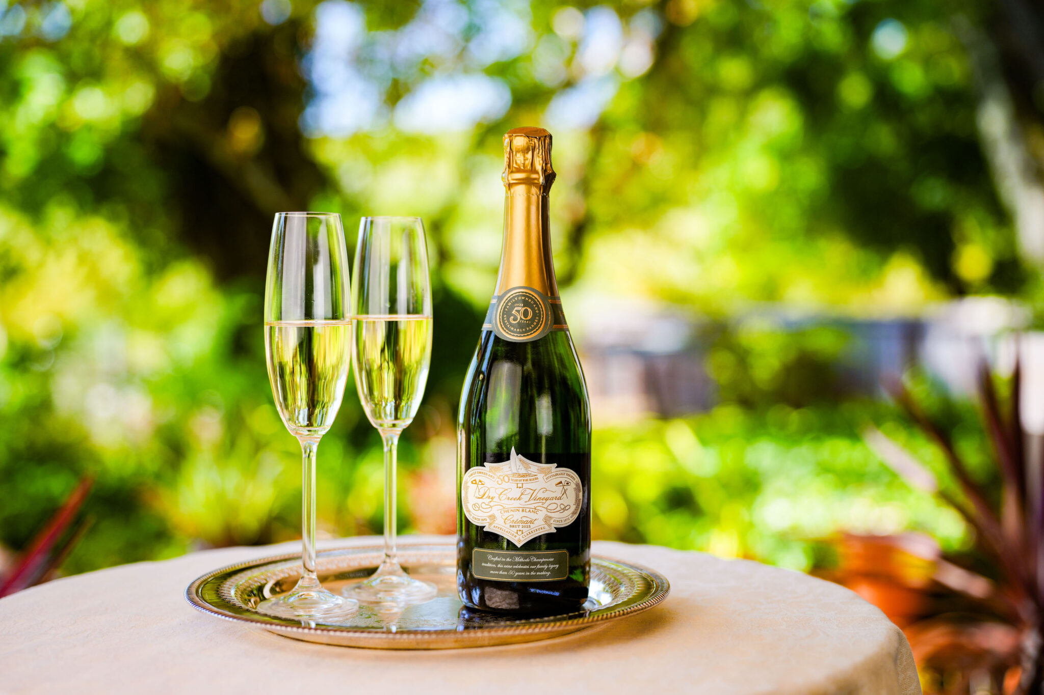 Dry Creek Vineyard 2023 Sparkling Chenin Blanc and a Sparkling Affair ...